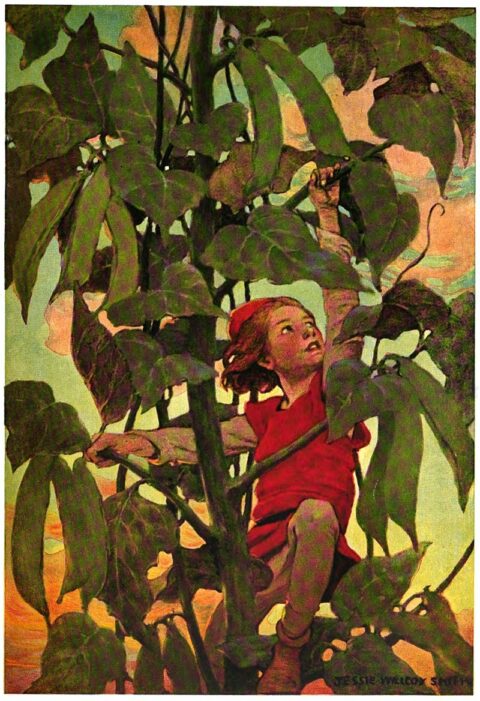 Jack et le haricot magique - Conte de fées en français. Texte et Audio.