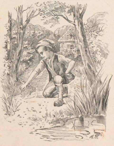 Le petit poucet - Conte de fées en français. Texte et Audio.